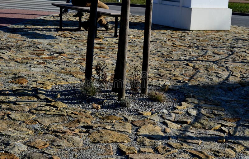 Flower Bed, Treeline, Lattice, with a Circular Hole for a Tree Trunk ...