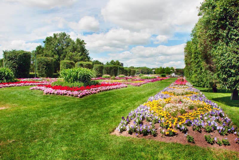Flower beds stock image. Image of field, colors, petals - 15283389