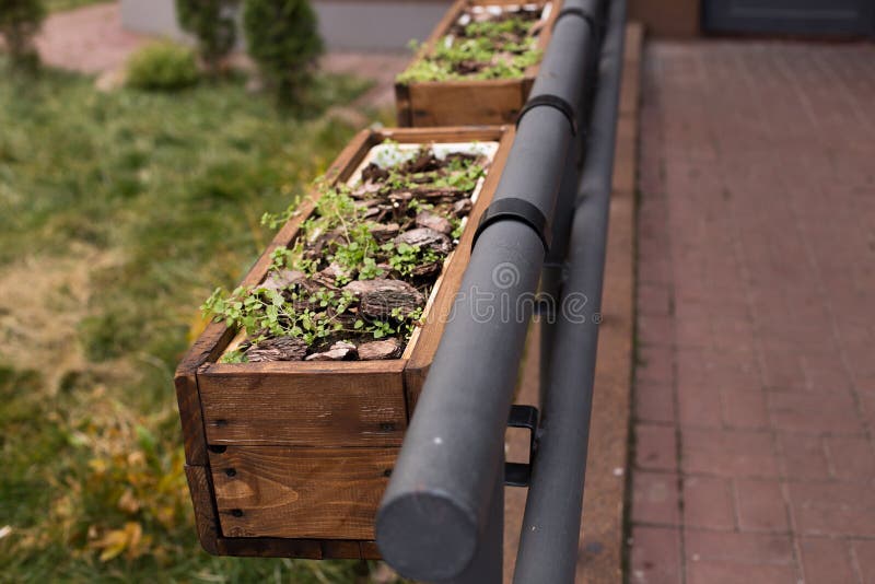Flower Beds with Grass on the Railing Stock Photo - Image of culture ...