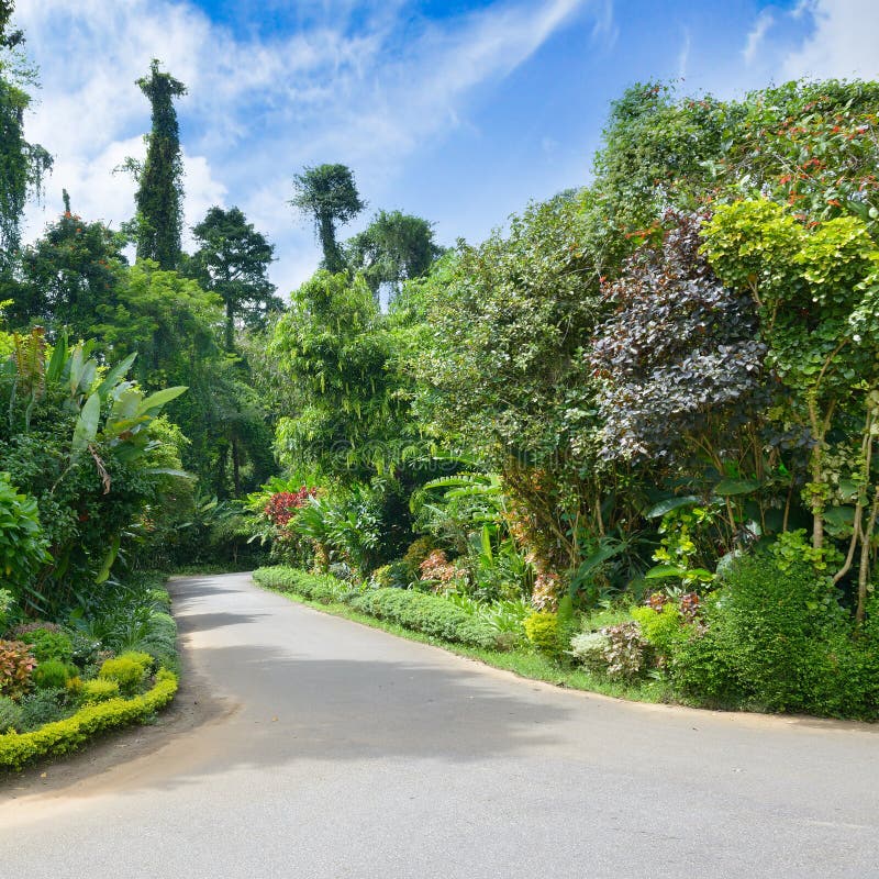 Flower Beds with Walking Path Stock Photo - Image of view, cloud: 310153016