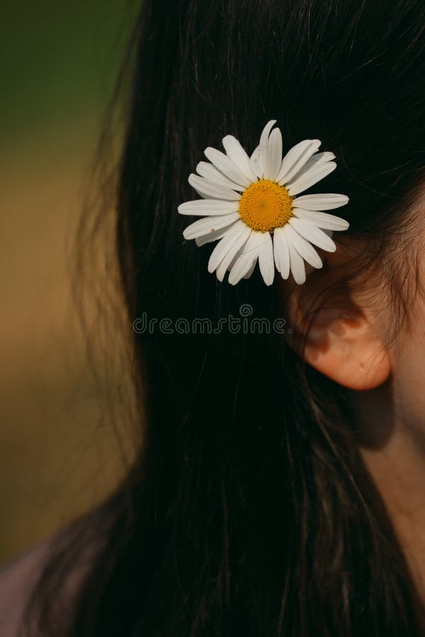 A Flower Behind a Girl S Ear Stock Image - Image of portrait, daisy ...