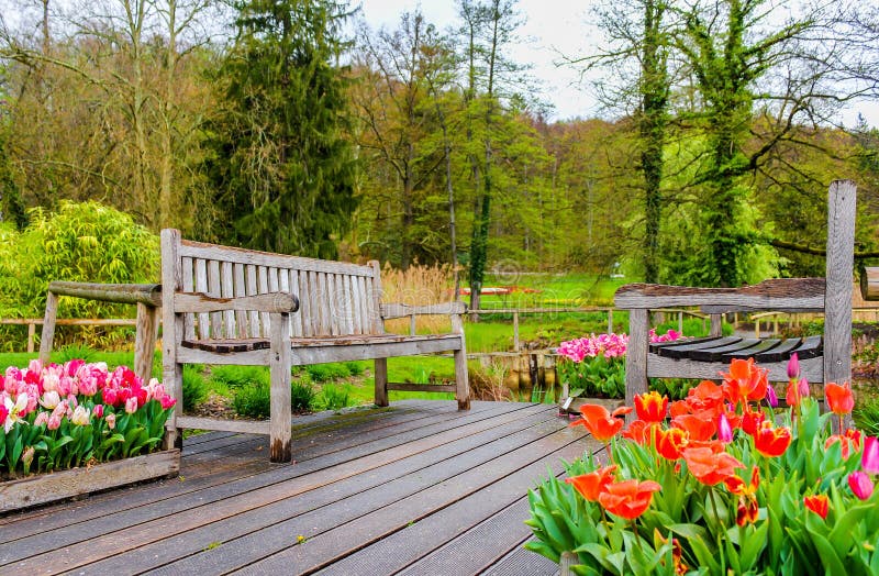 Flower and benches stock photo. Image of peace, silence - 48055812