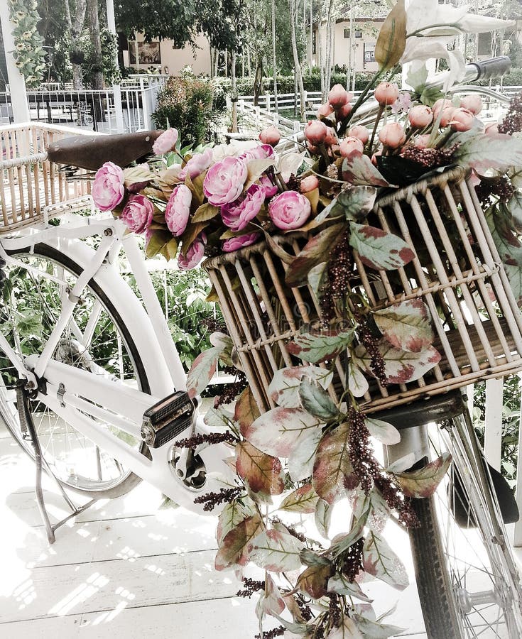 Flower bicycle stock image. Image of flower, bicicle - 45647041