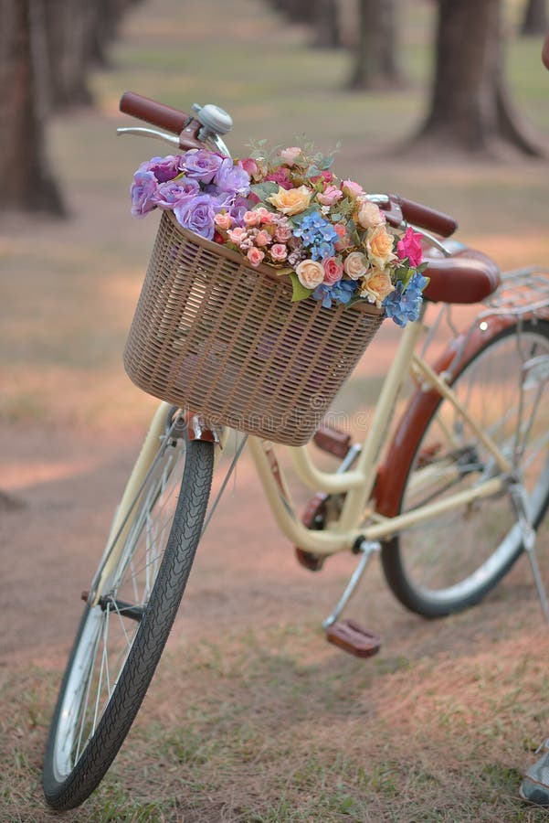 Flower bicycle stock photo. Image of flowers, ornate - 14177268