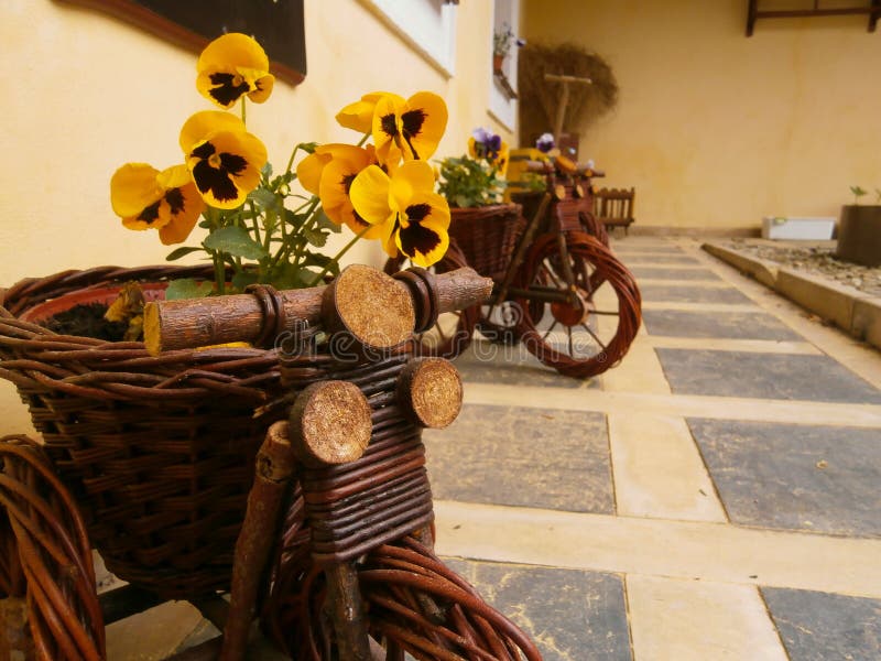 Flower Bike stock photo. Image of flowering, flush, blossoming - 56271308