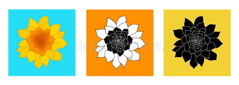Flower Black and White and Color Variation Stock Vector - Illustration ...