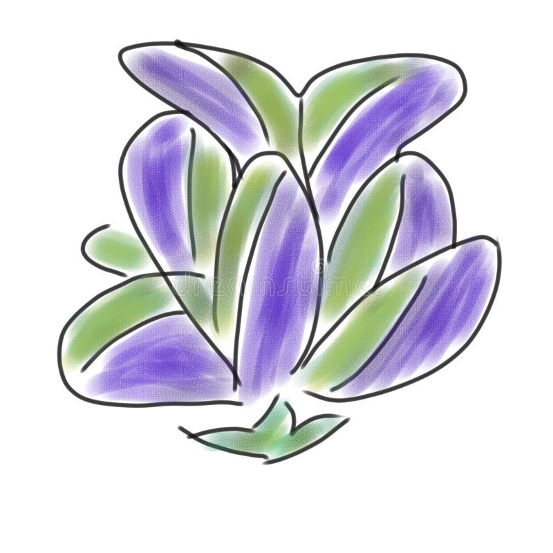 Flower Bloom Color Pencil Drawing Stock Illustration - Illustration of ...