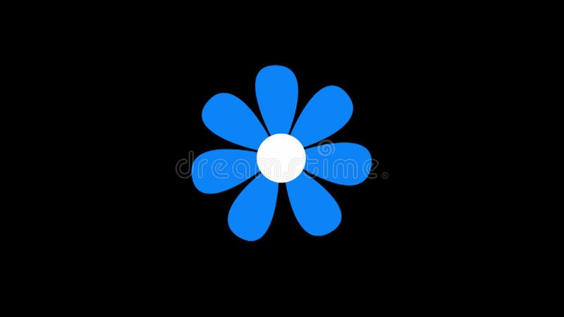 Flower Blossom Icon Loop Animation Video Transparent Background with ...