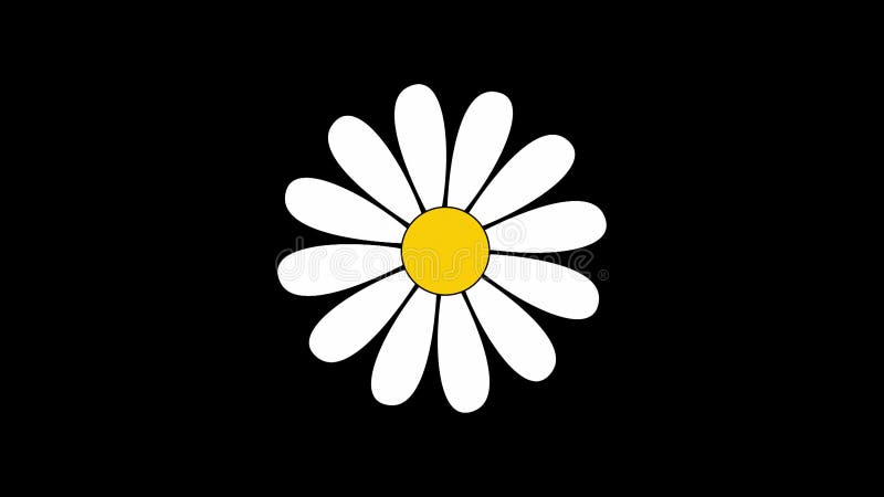 Flower Blossom Icon Loop Animation Video Transparent Background with ...