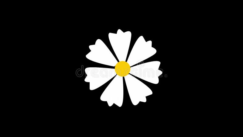 Flower Blossom Icon Loop Animation Video Transparent Background with ...