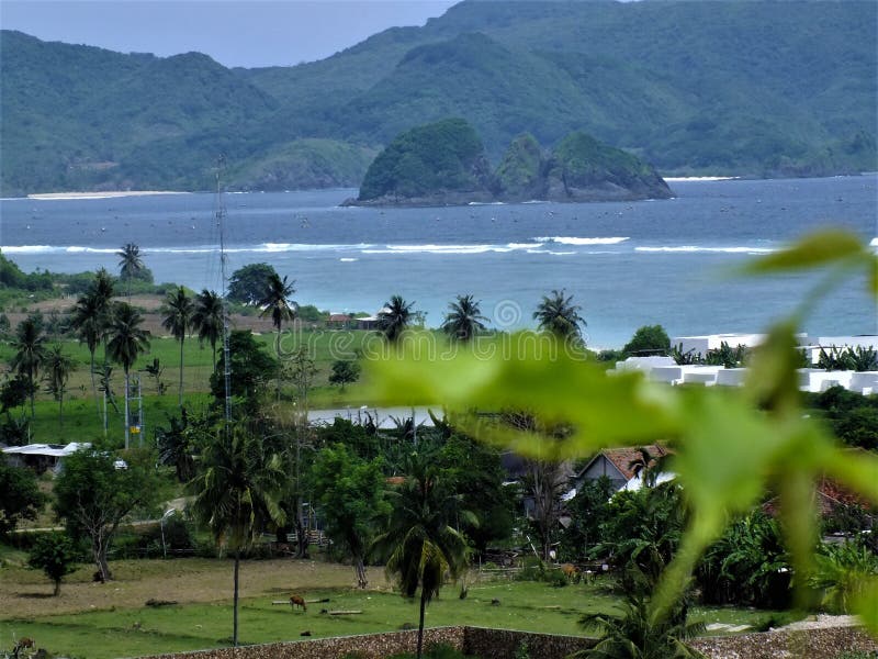 Flower in the Blue of Hindian Ocean Stock Image - Image of reservoir ...