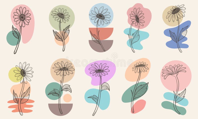 Flower Boho Aesthetic Elements Collection Vector Illustration Stock ...