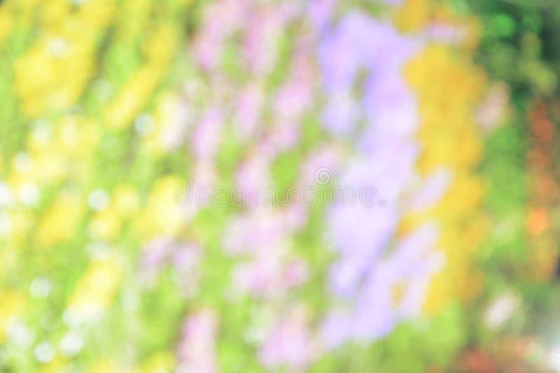 Flower bokeh background stock image. Image of colorful - 64177121