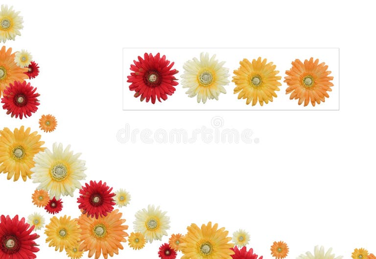 Yellow Flower Daisy Border Stock Illustrations – 9,170 Yellow Flower ...