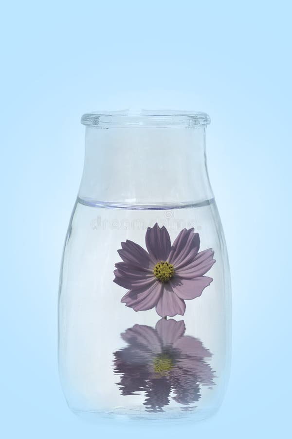 Flower Inside a Bottle of Liquid Soap Stock Image - Image of still ...