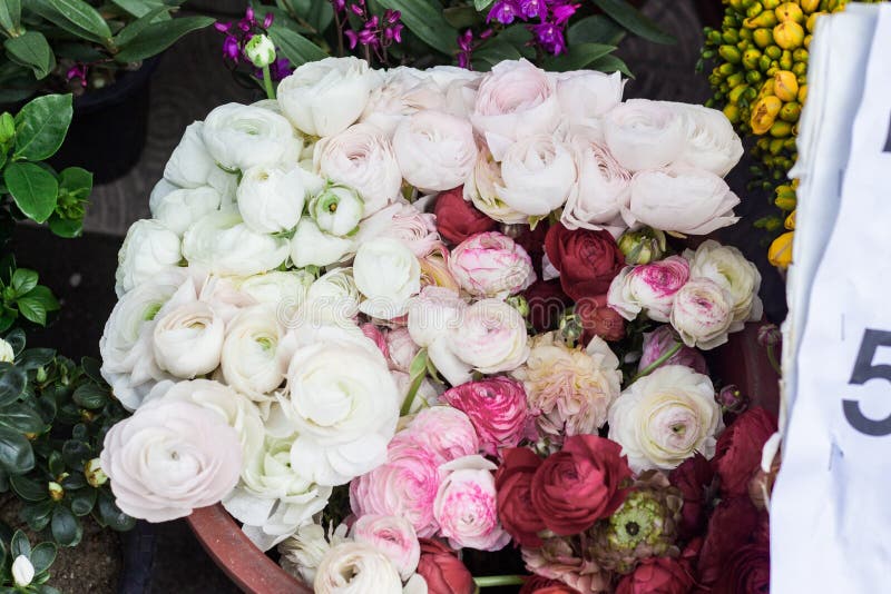 Flower, Flower Bouquet, Flower Arranging, Floristry Picture. Image ...