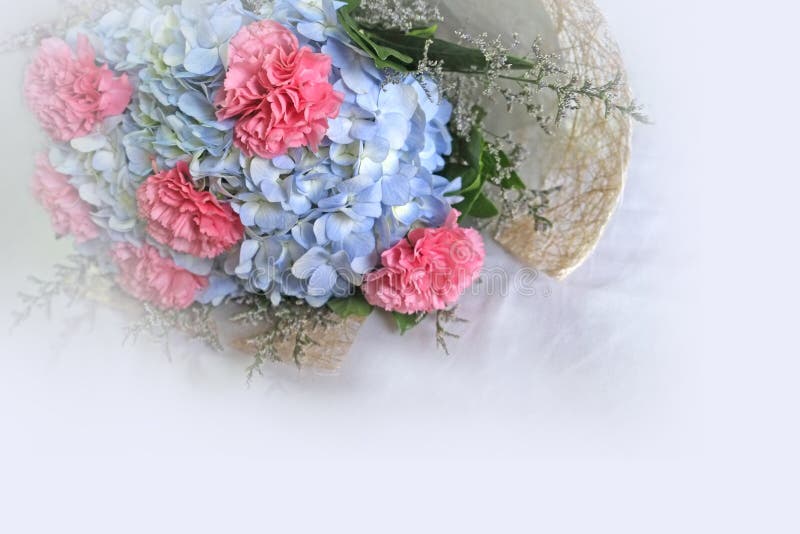 Flower Bouquet with Carnation and Hydrangea Stock Photo - Image of ...