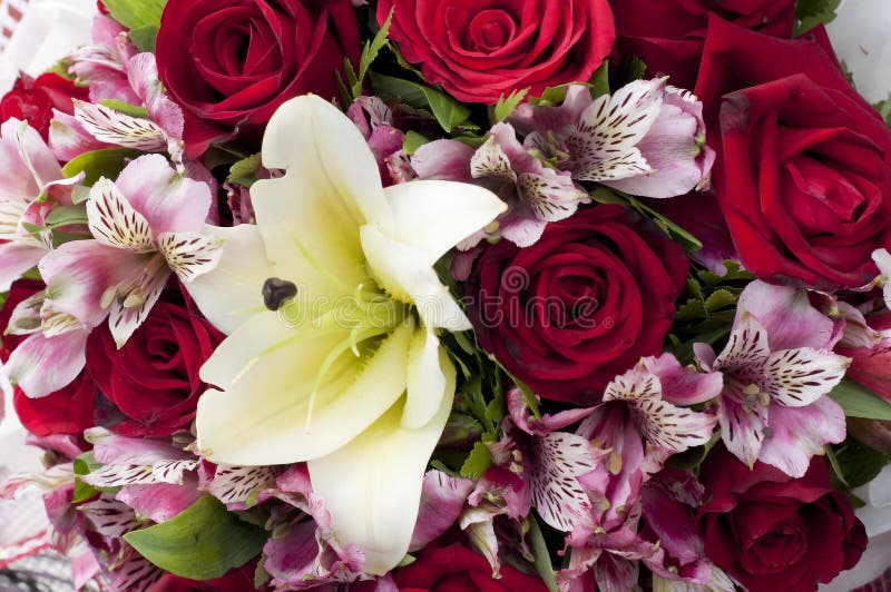 Close up of garden flowers stock photo. Image of stem - 56913890