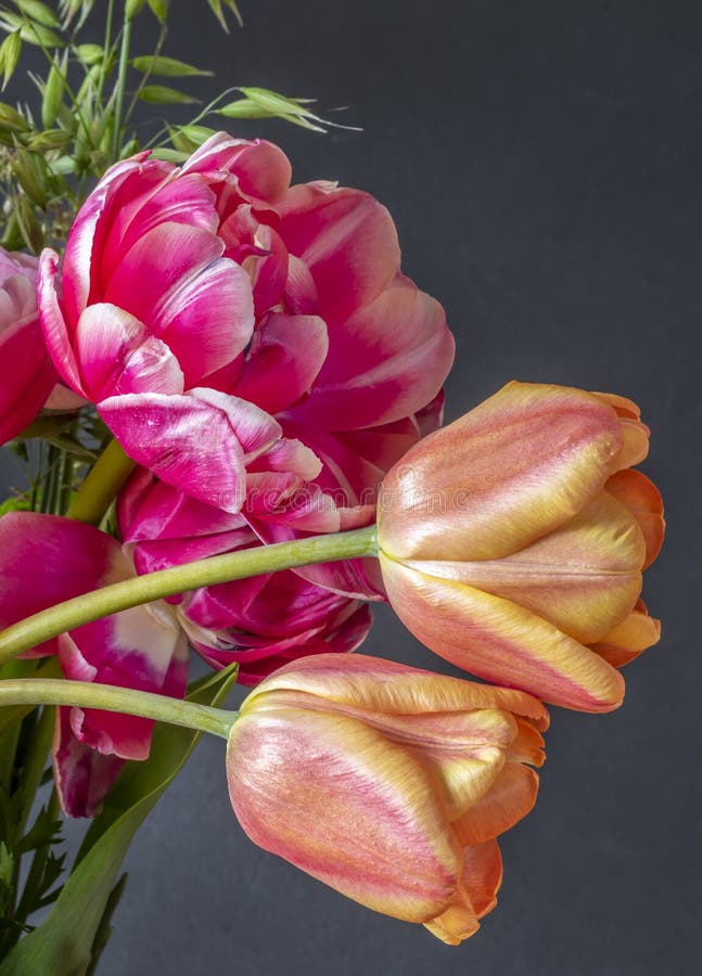 Flower Bouquet in Creative Arrangement Stock Image - Image of showy ...