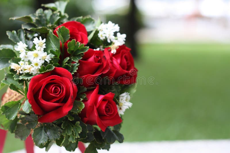 A flower bouquet stock photo. Image of roses, romantic - 110767282