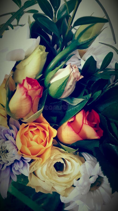 Flower bouquet stock image. Image of roses, composition - 109658779