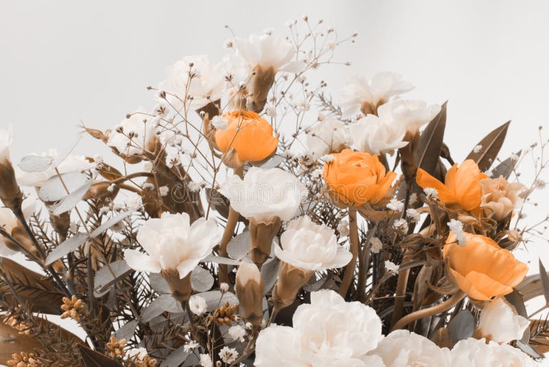 Flower Bouquet on Light Background Stock Image - Image of botanical ...