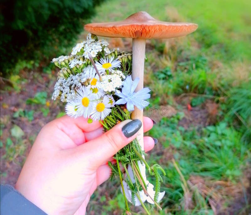 Flower Bouquet with a Mushroom Stock Photo - Image of garden, grass ...