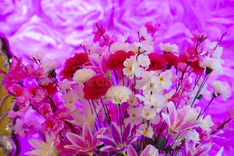 Flower Buke Stock Photos - Free & Royalty-Free Stock Photos from Dreamstime