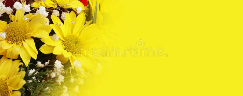 Flower Bouquet on Yellow Empty Horizontal Long Background Stock Photo ...