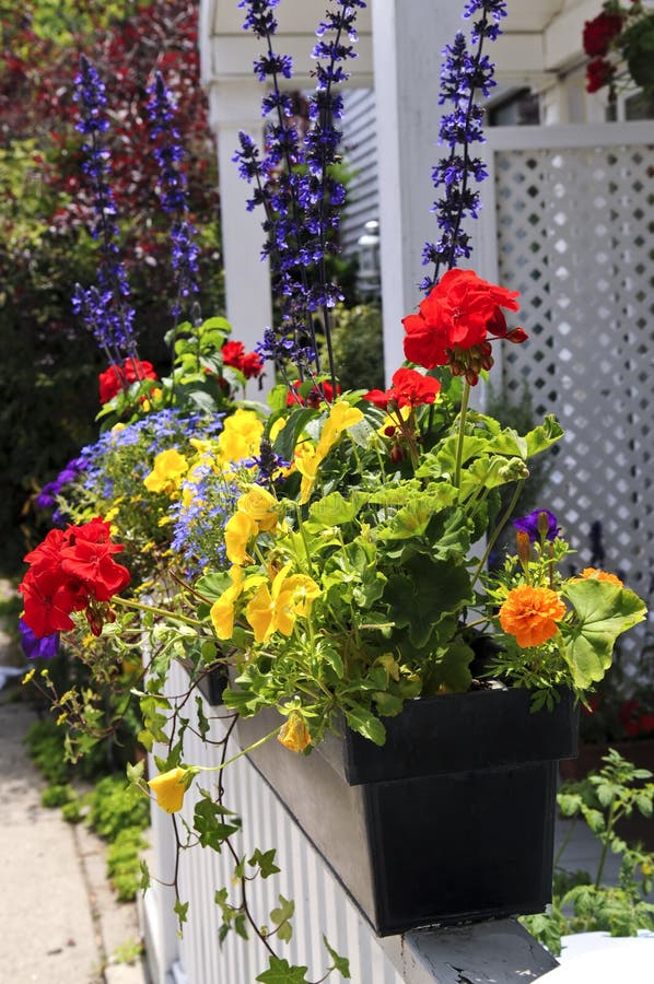 Window Box Flower Arrangement Stock Photo - Image of house, city: 9235374