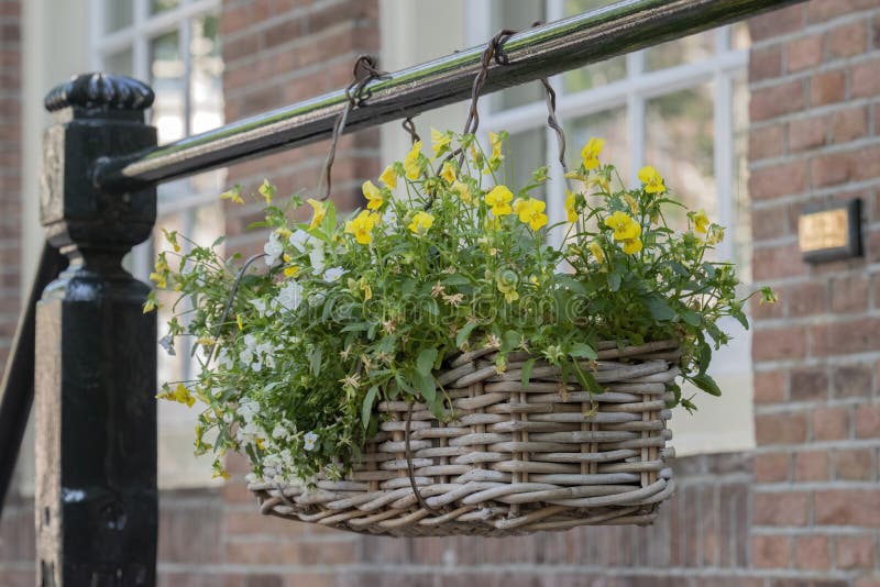 Flower Box at Amsterdam the Netherlands 23-6-2022 Stock Image - Image ...