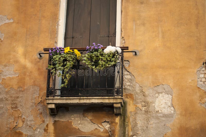 Flower box, Venice, Italy stock image. Image of european - 29831999