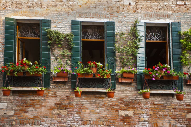 Flower box, Venice, Italy stock photo. Image of building - 29832014