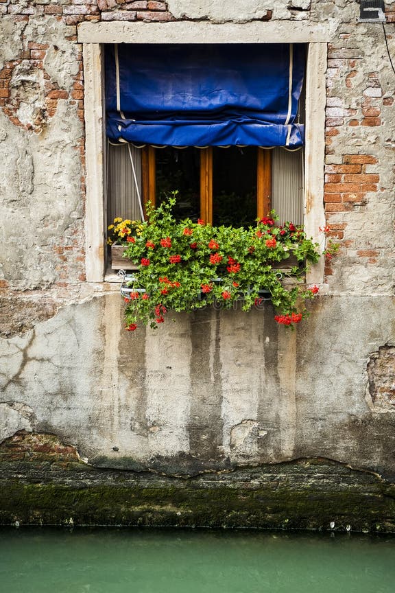 Flower box, Venice, Italy stock photo. Image of urban - 29832044