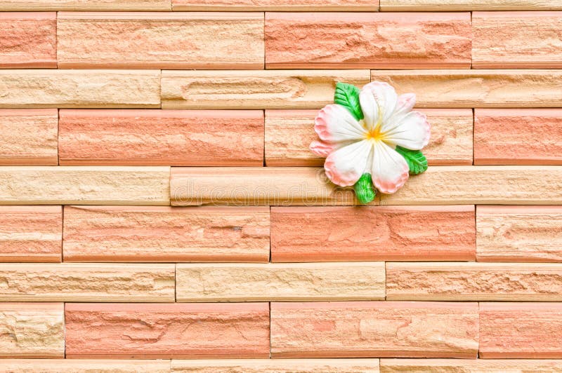 Flower on a brick wall stock photo. Image of exterior - 26823446