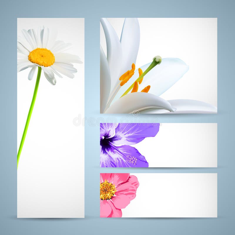 Flower Brochure Template. Background Design Vector Stock Vector ...