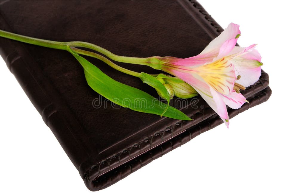 Flower bud on a book stock photo. Image of bunch, head - 35752530