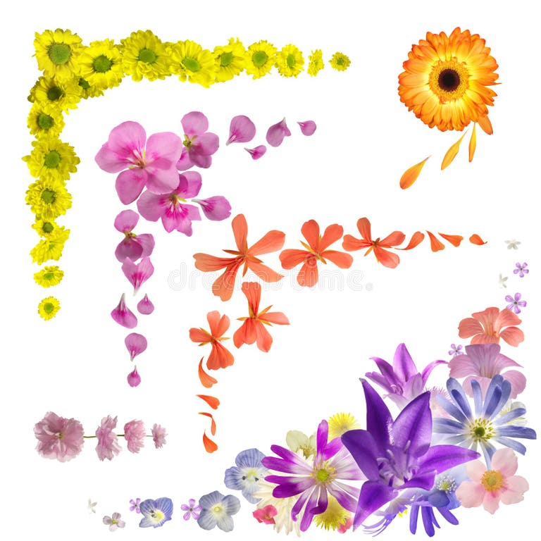 2,845 Summer Flower Corner Border Stock Photos - Free & Royalty-Free ...