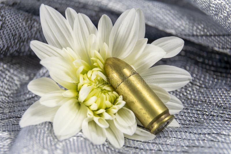 638 Bullet Flower Stock Photos - Free & Royalty-Free Stock Photos from ...