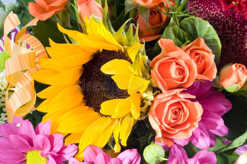 Flower bunch stock photo. Image of beautiful, colors, bouquet - 5376698