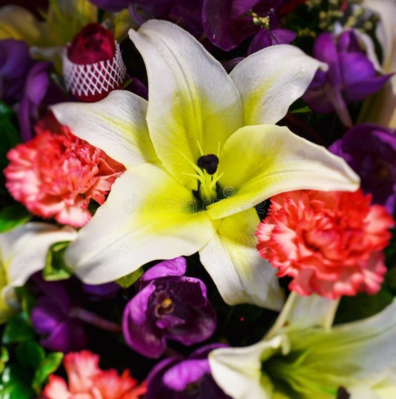 Flower bunch close stock photo. Image of floral, gift - 142395890