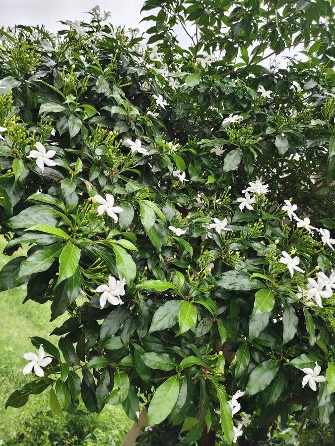 Aestheticsbus Stock Photos - Free & Royalty-Free Stock Photos from ...