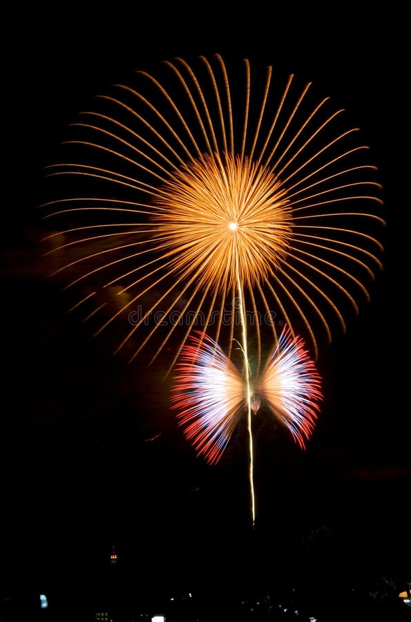 Flower Butterfly Firework Stock Photos - Free & Royalty-Free Stock ...