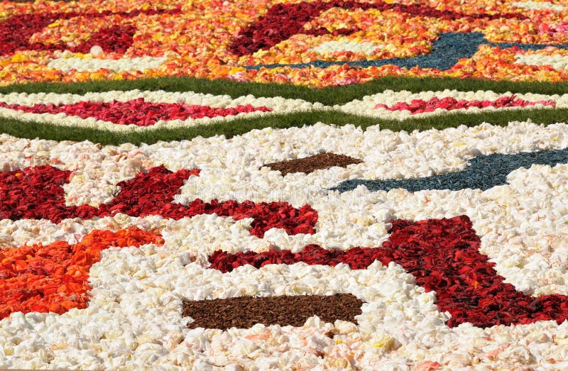 Flower carpet stock image. Image of garden, decorative - 26698007