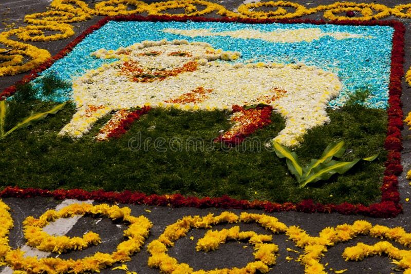Flower Carpet- 2019-cusco City Full Frame Peru Editorial Stock Photo ...
