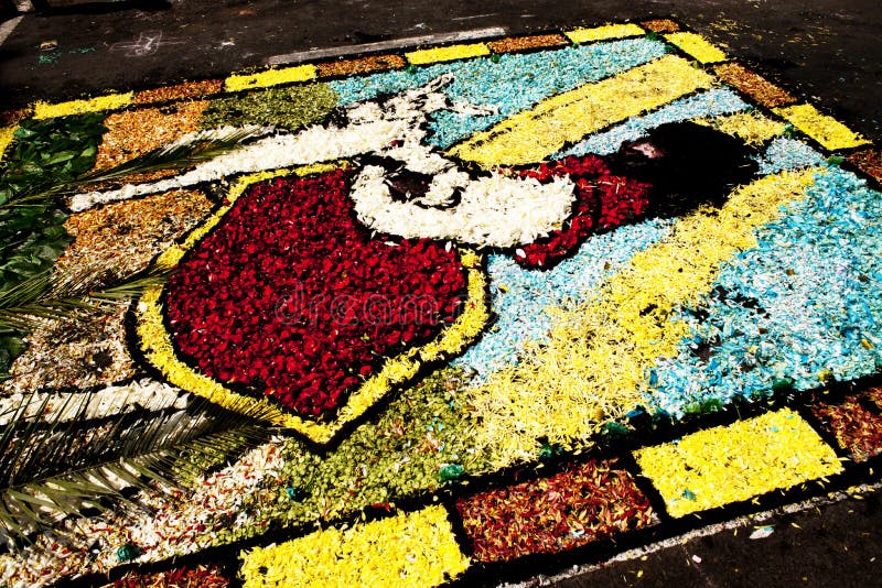 Flower Carpet- 2019-cusco City Full Frame Peru Editorial Stock Image ...