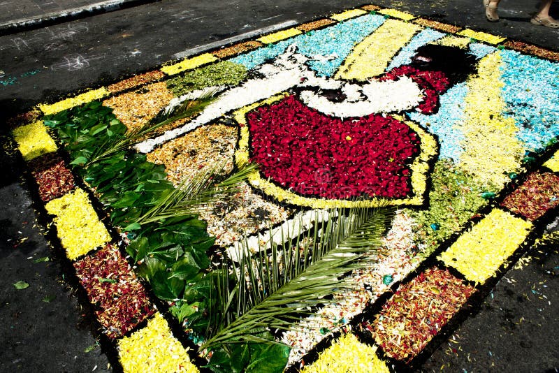 Flower Carpet- 2019-cusco City Full Frame Peru Editorial Image - Image ...