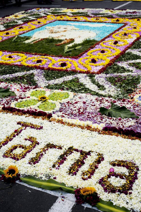 Flower Carpet- 2019-street of Cusco City Full Frame Color Peru ...
