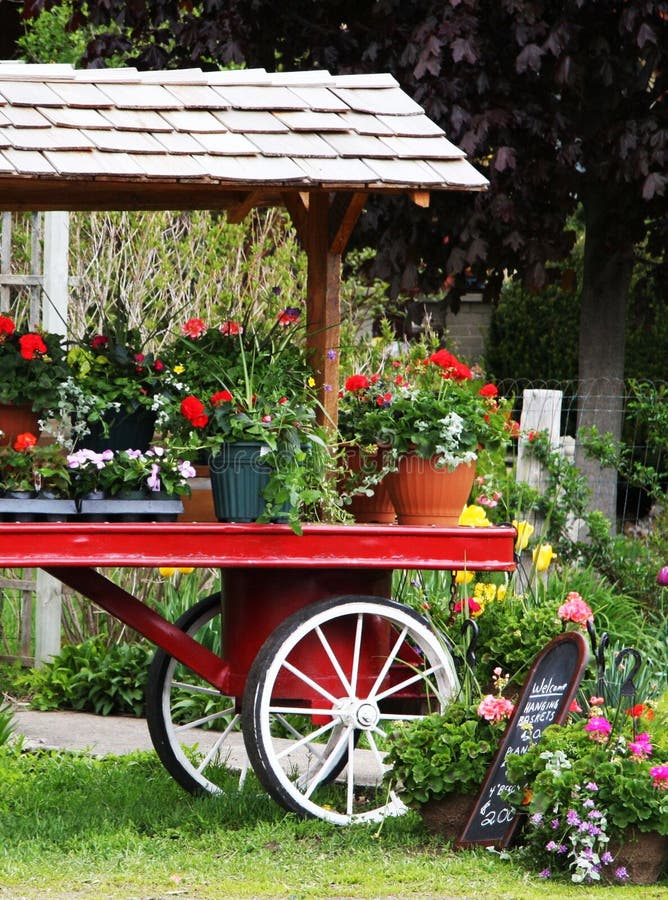 Flower Cart stock photo. Image of wagon, board, peddler - 5437222