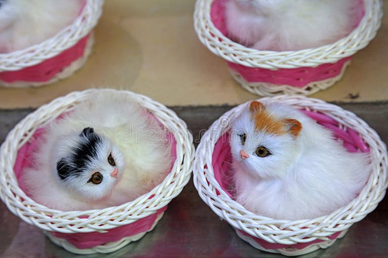 1,595 Cat Crafts Preschoolers Stock Photos - Free & Royalty-Free Stock ...